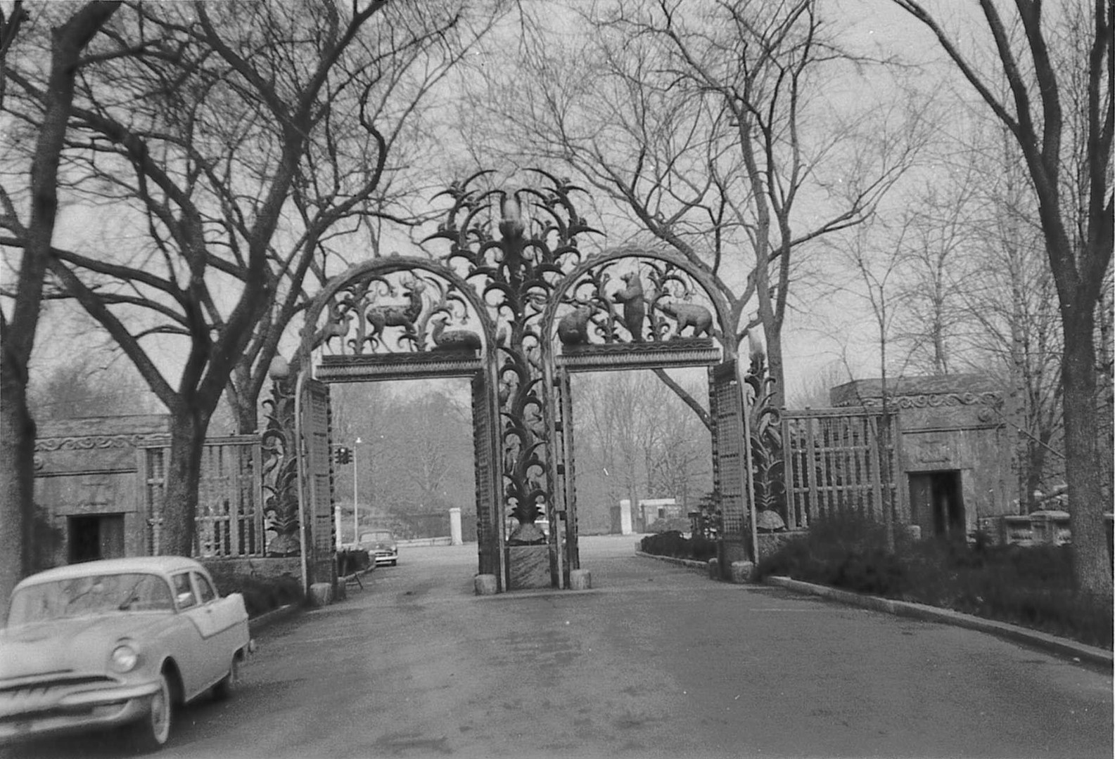 Safari on Southern Boulevard: The Bronx Zoo