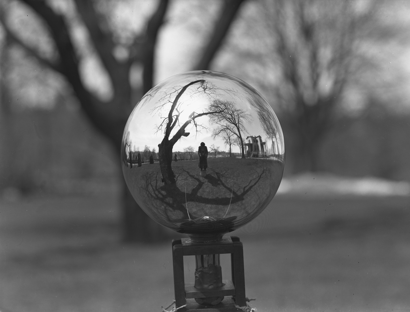 A Photographer's Life in Early 20th-Century Inwood