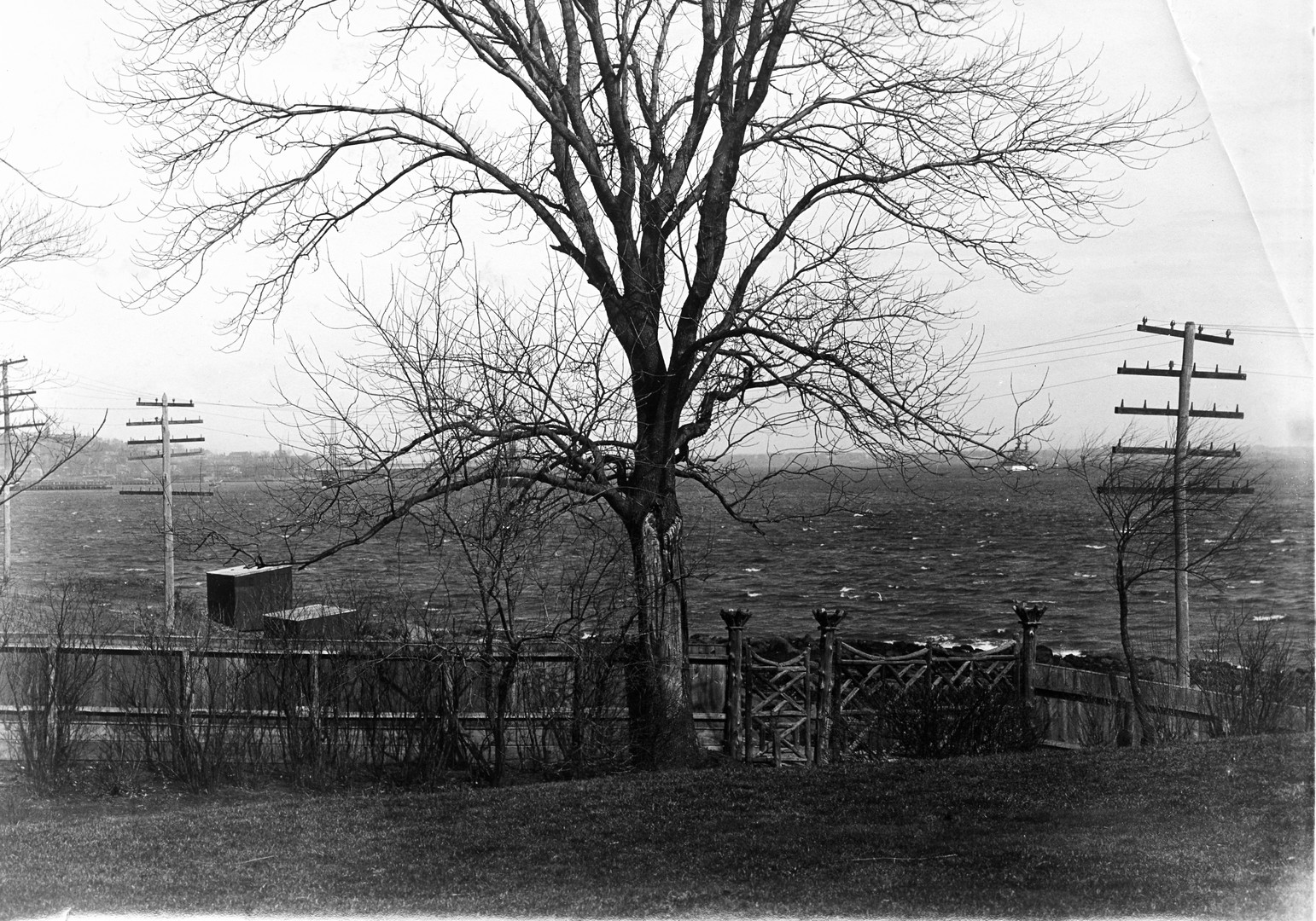 The Work of Alice Austen | Urban Archive