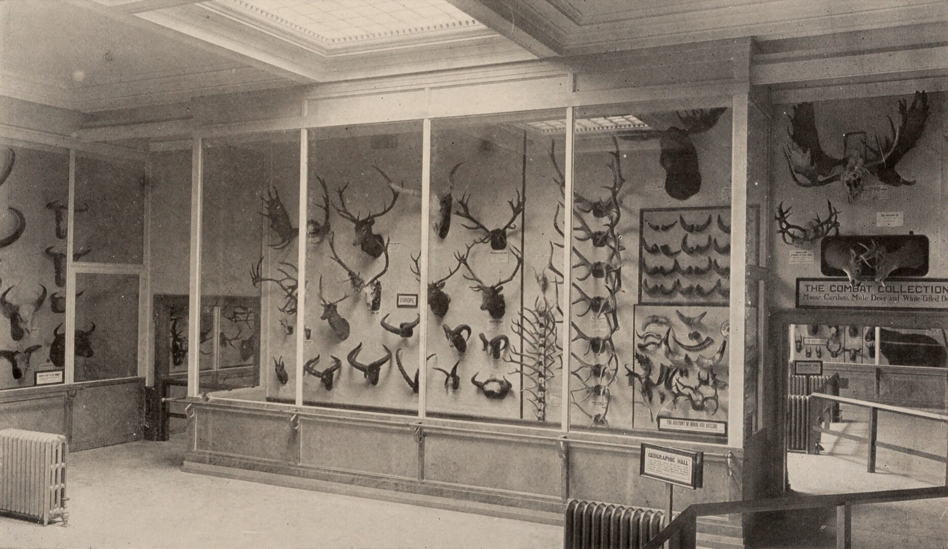 Bronx Zoo Historical Walking Tour | Urban Archive