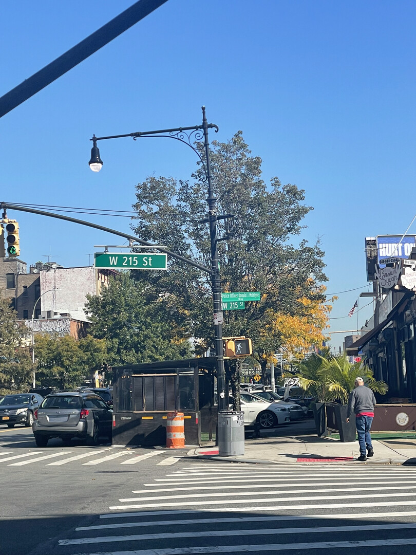 I Walked Manhattan: Here Is What I Saw